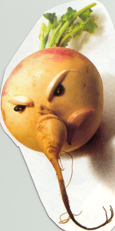 Turnip Face - Squackle.com! The Funniest Site on the Net!